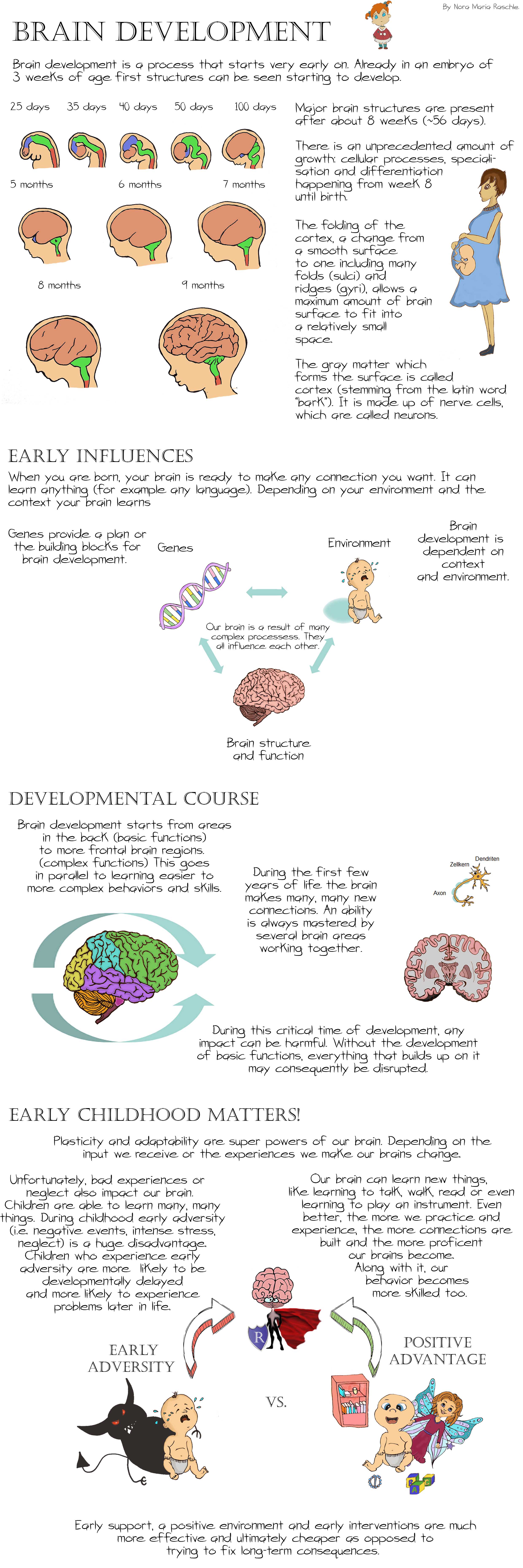 Brain Facts for Everyone – We are all born scientists