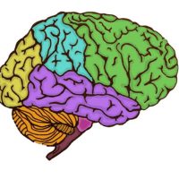 We are all born scientists