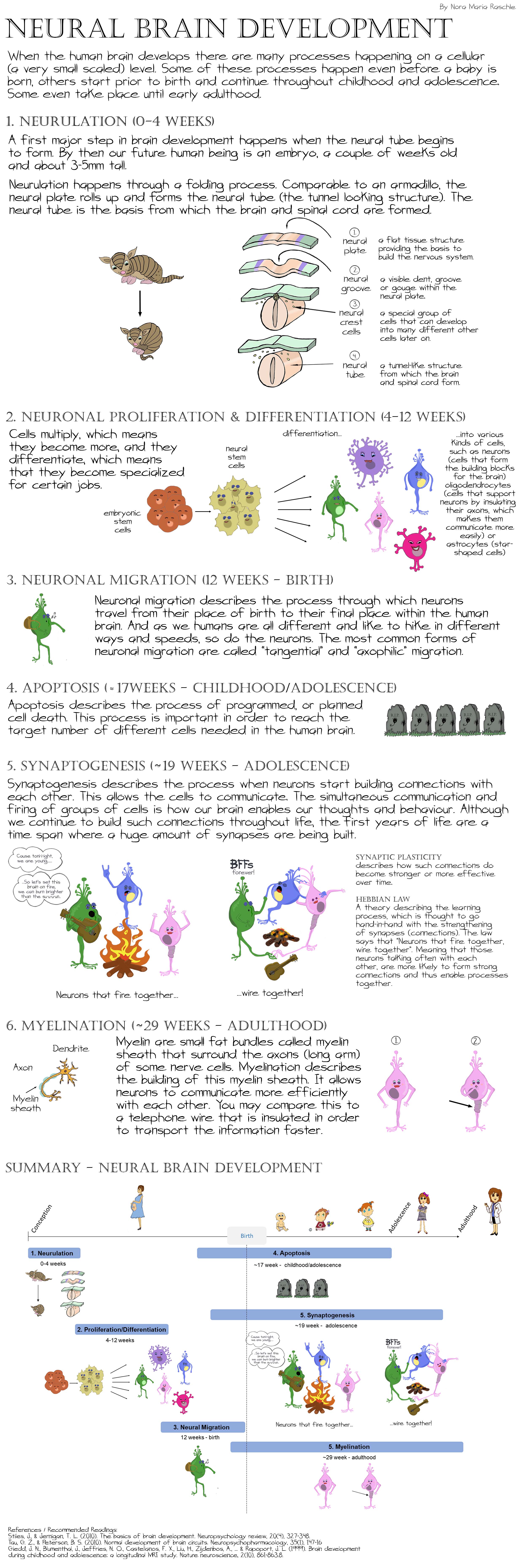 Brain Facts: Brain Anatomy, Development and underlying Neural Processes ...